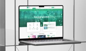 Bbros – Elevate Your Web Design & Development | Creative Solutions